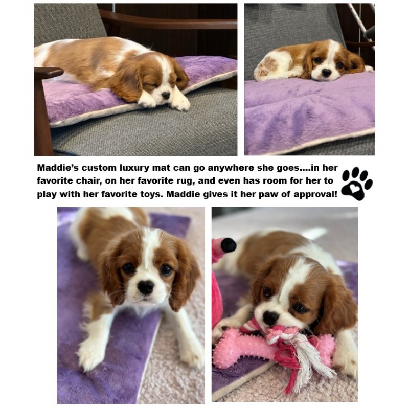 Custom Designer DOG CRATE PAD MATS made in the USA